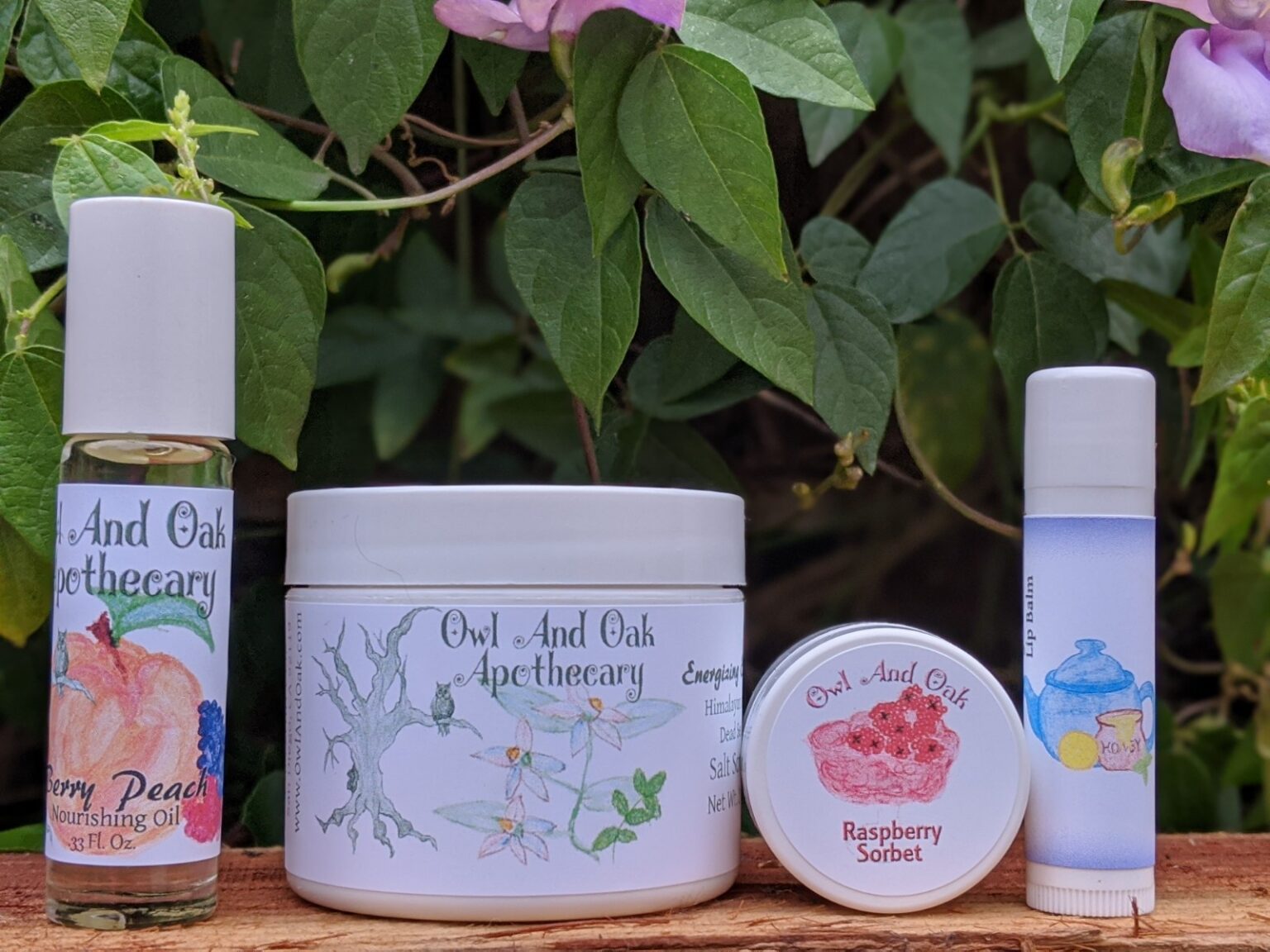 Owl And Oak – The magic begins here…